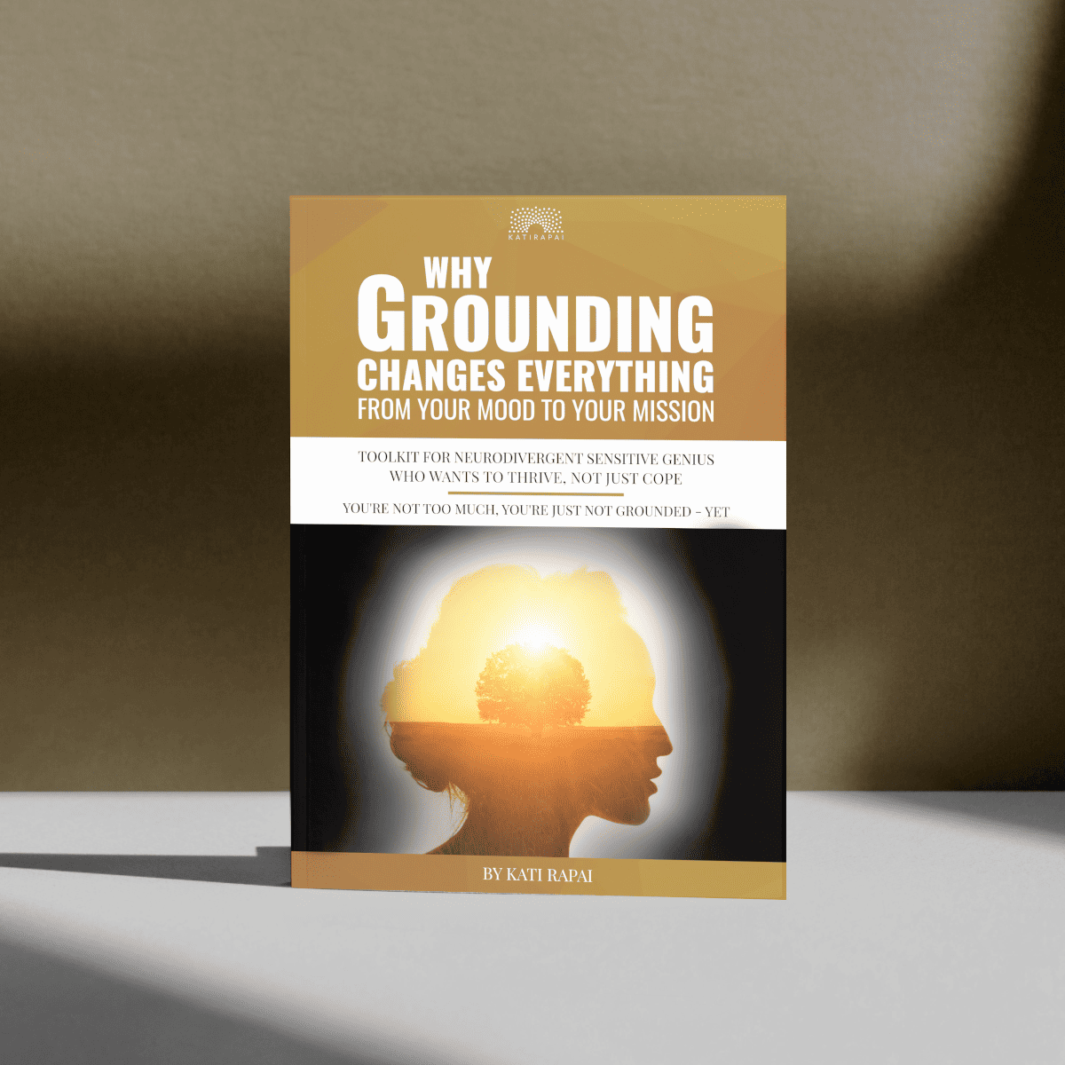 Why Grounding Book - KATIRAPAI
